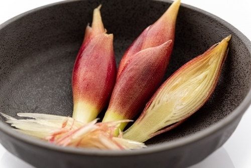 みょうがの旬の時期・季節はいつ？種類で違う？選び方や栄養価なども紹介！| ちそう