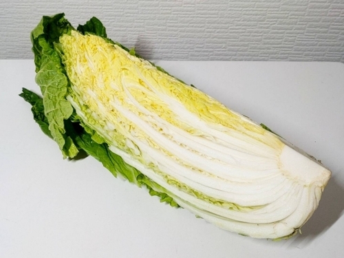 人気1位｜白菜のパスタの殿堂入りレシピTOP15【つくれぽ1000】から厳選！| ちそう